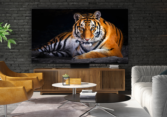 Introducing Q-Series: A New Dimension of Entertainment | TCL USA